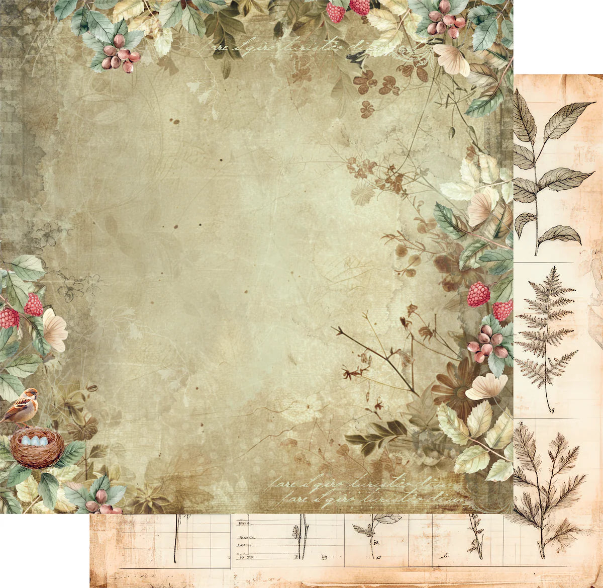 Uniquely Creative - 12x12 Beautiful Botany Paper (1/sheet) - Advent 20 ...
